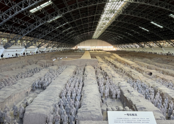 What to See in Terracotta Warriors Museum?